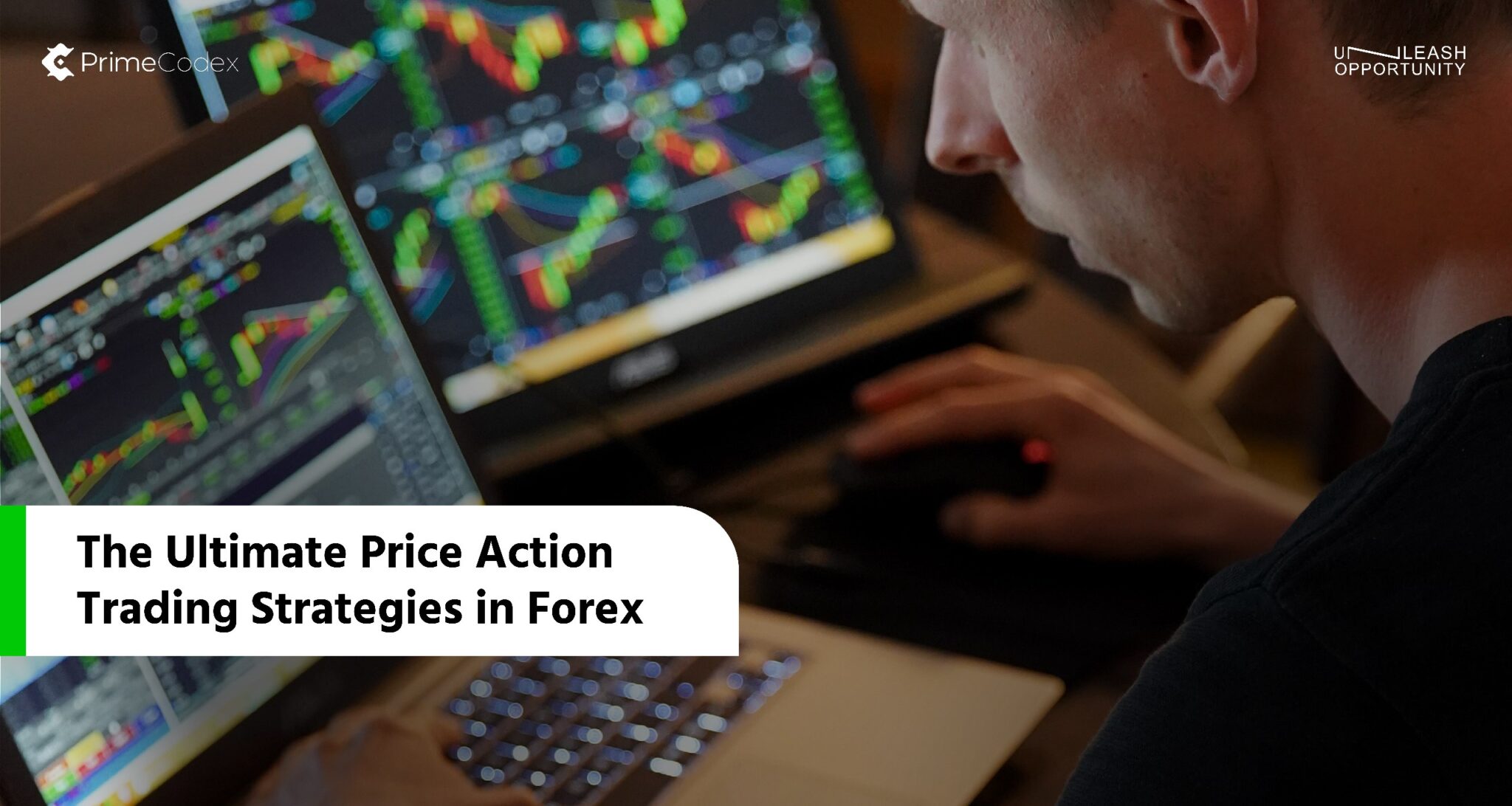 The Ultimate Price Action Trading Strategies in Forex