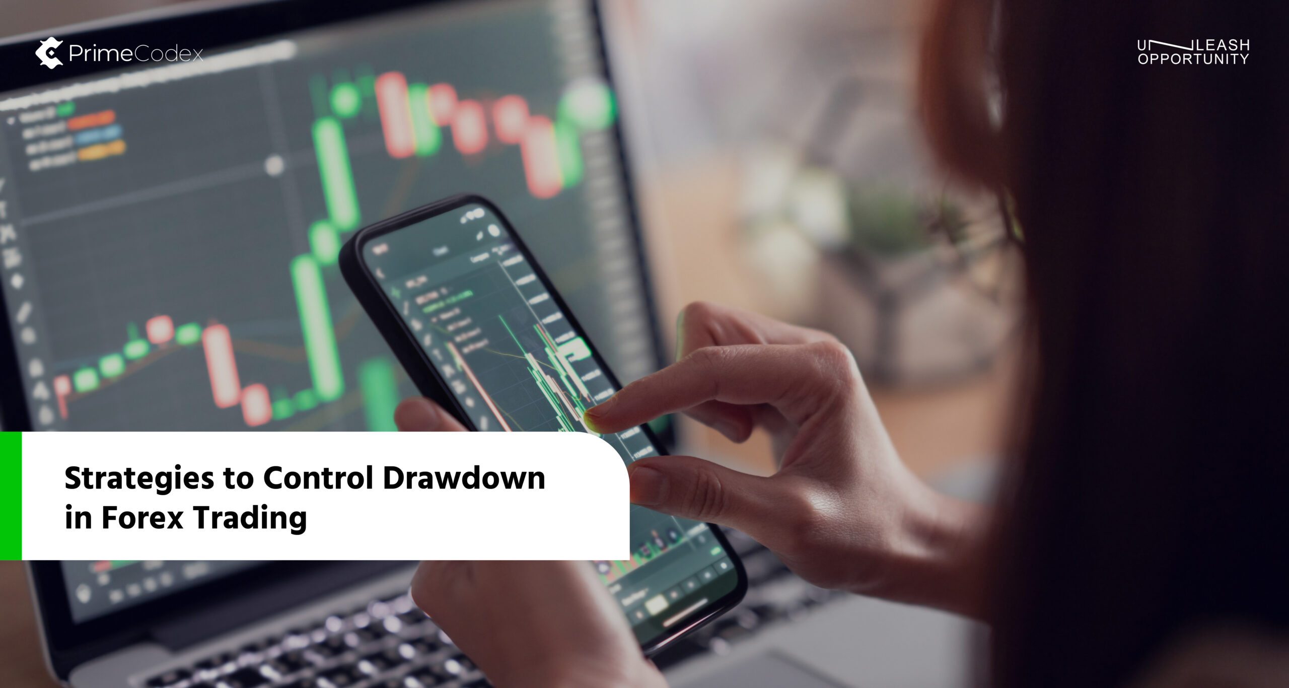 Risk Management in Trading - Prime Codex Insights