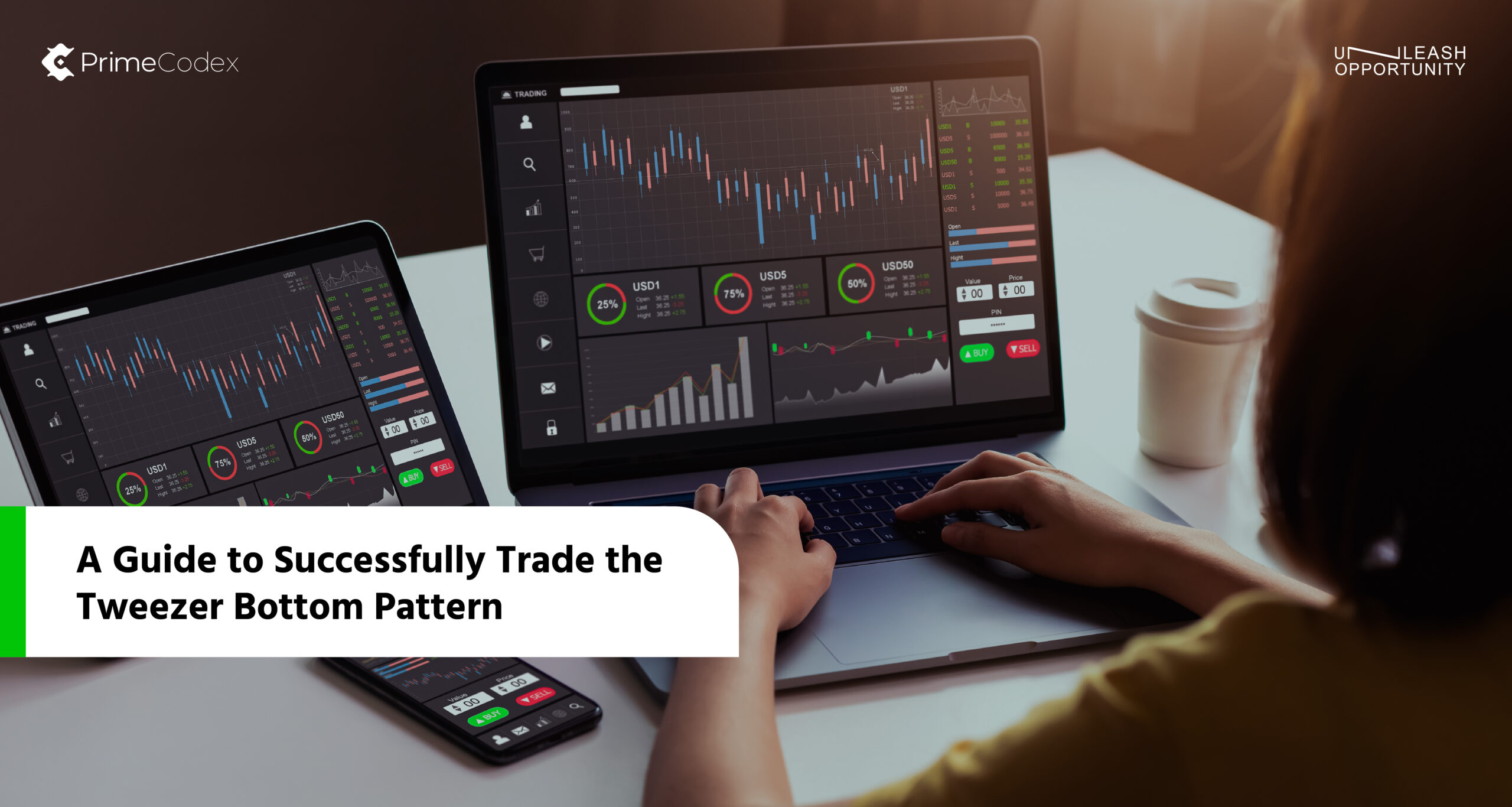 Trading Tips from the Expert - Prime Codex Insights